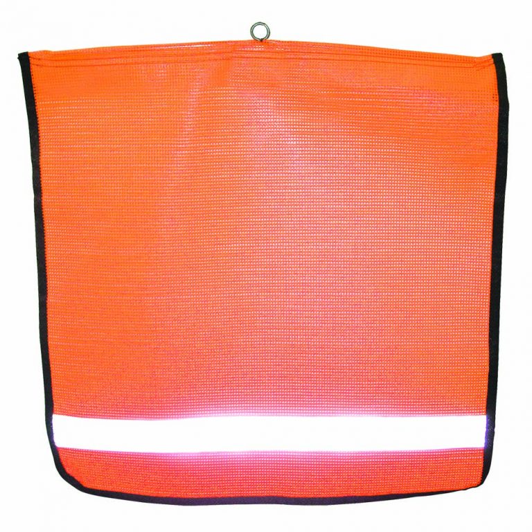 Wire Loop Safety Flags - Ms. Carita Safetruck
